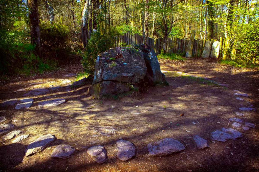 Take a Stroll in King Arthur's Forest of Brocéliande - Tales by Trees