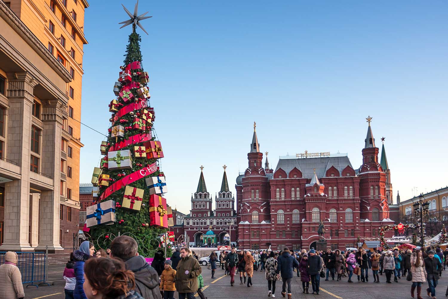 The Roots of the Christmas Tree - Tales by Trees