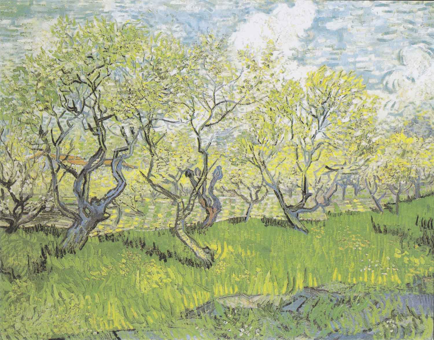 Van Gogh's Blossoming Trees - Tales by Trees