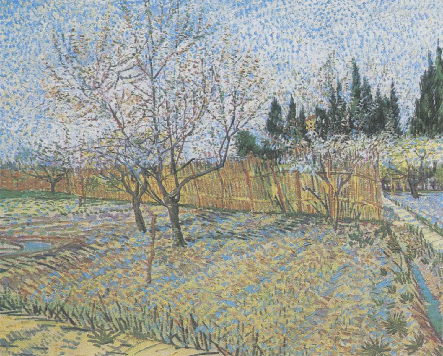 Van Gogh's Blossoming Trees - Tales by Trees