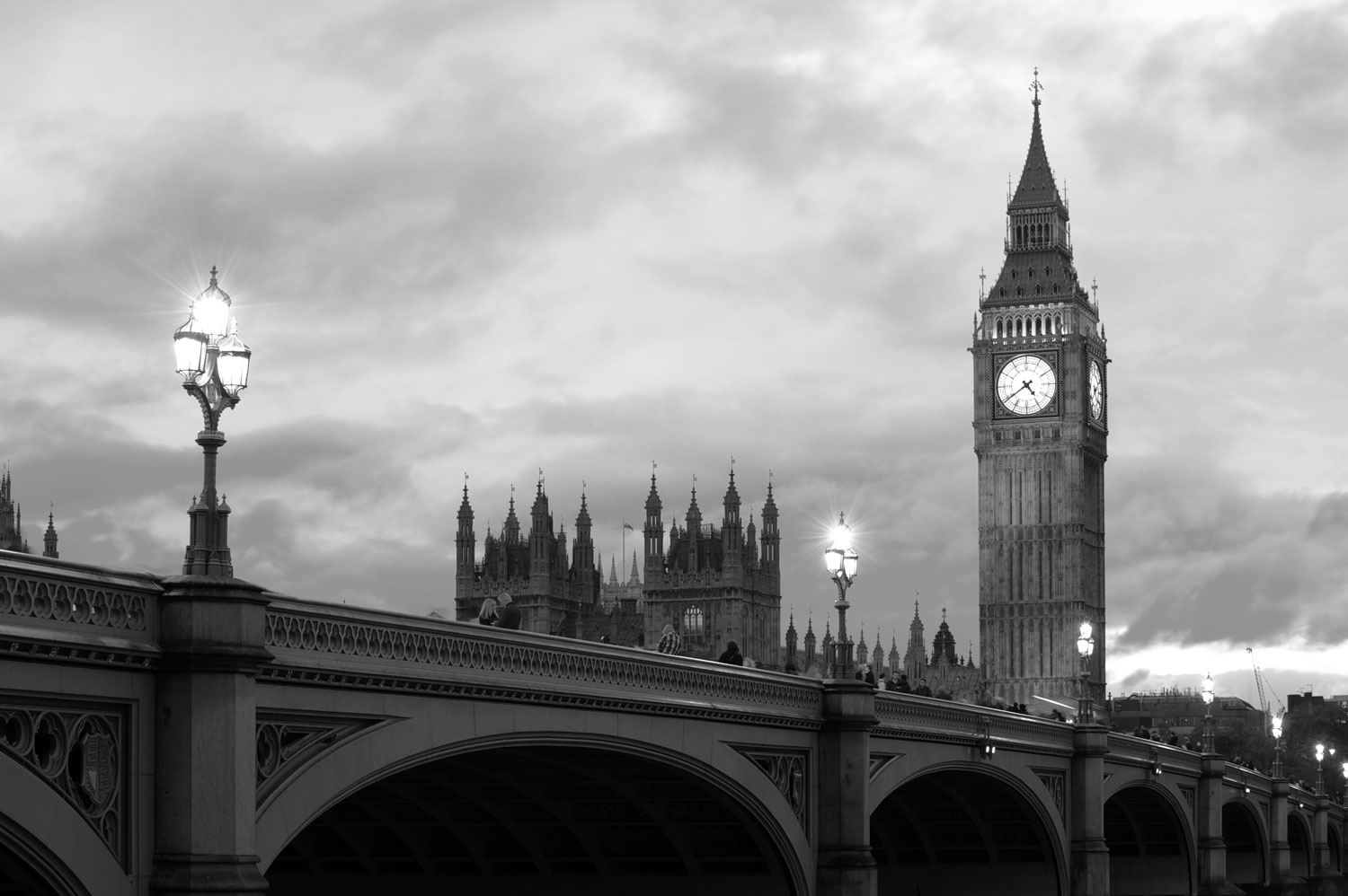 The Victorian Language of Trees - Tales by Trees
