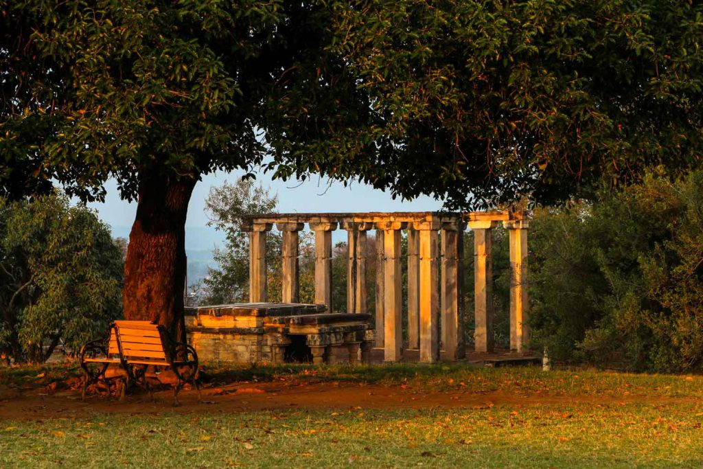 A Brief Guide to The Sacred Trees of India - Tales by Trees